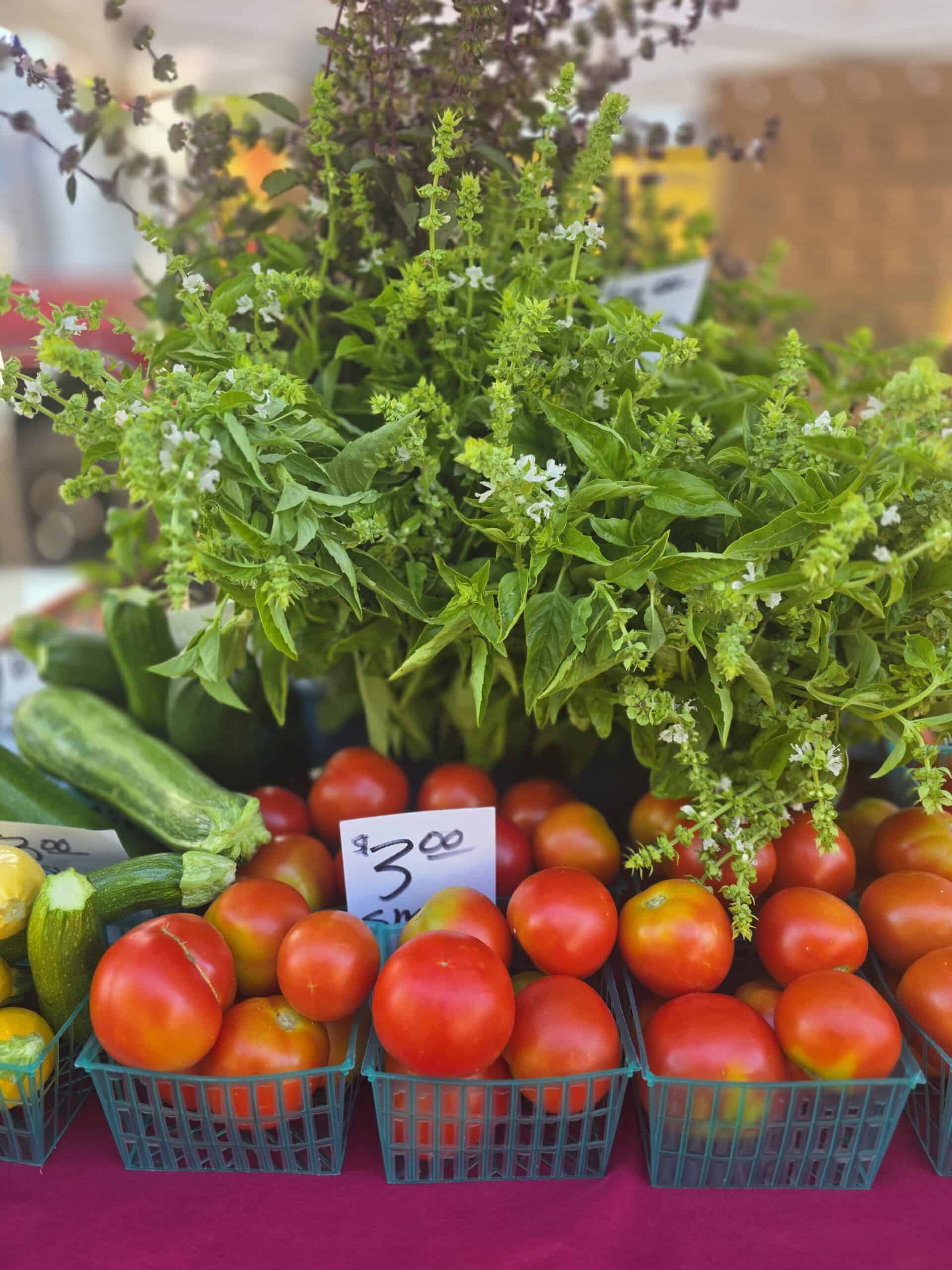 Modesto Certified Farmers Market – Central Valleys Premiere Public Market